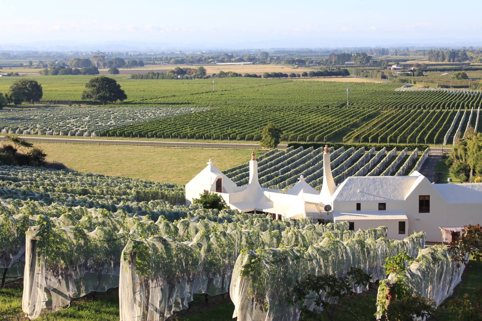 Te Mata Estate: New Zealand's Original Fine Wine Estate