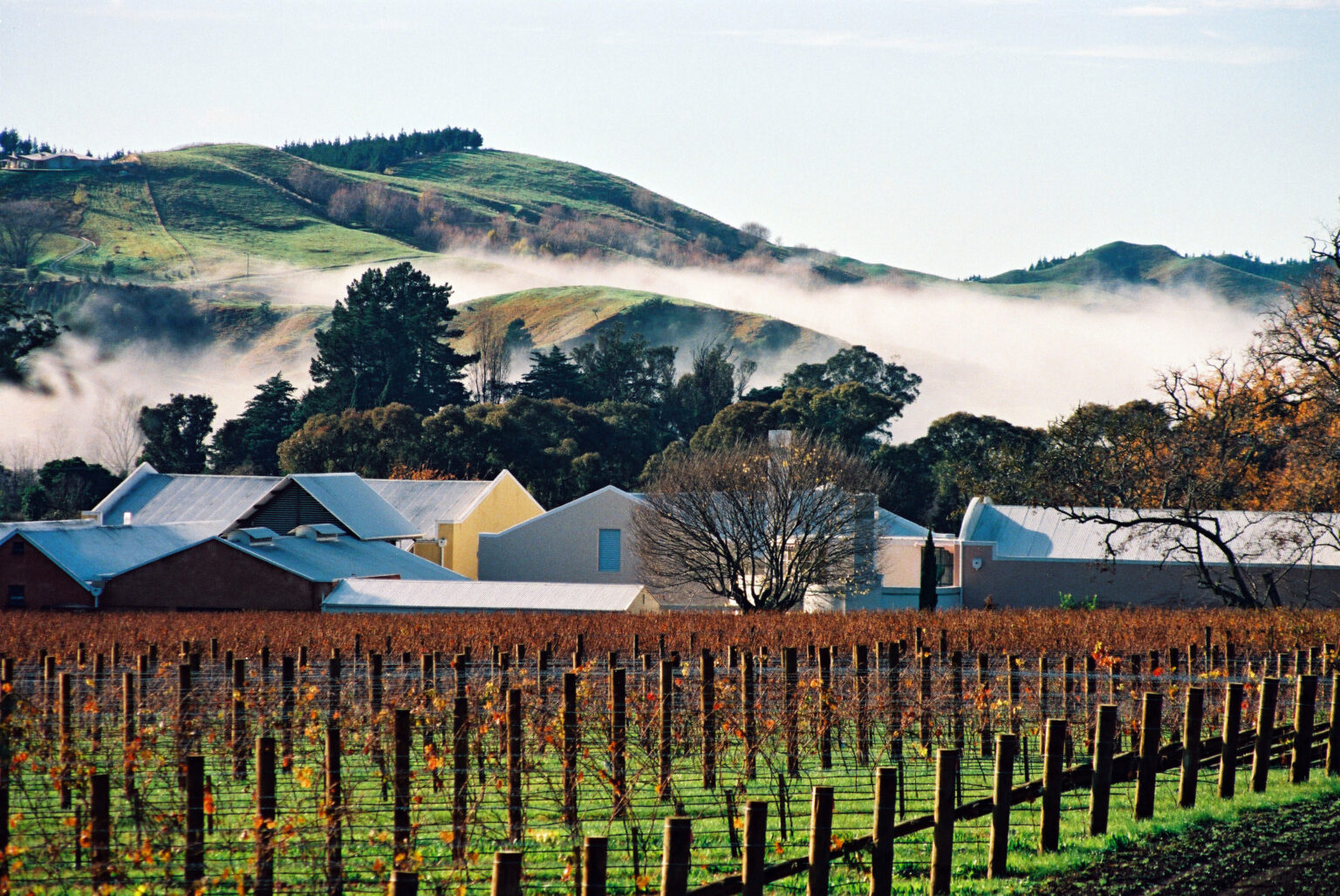 Latest News - Te Mata Estate