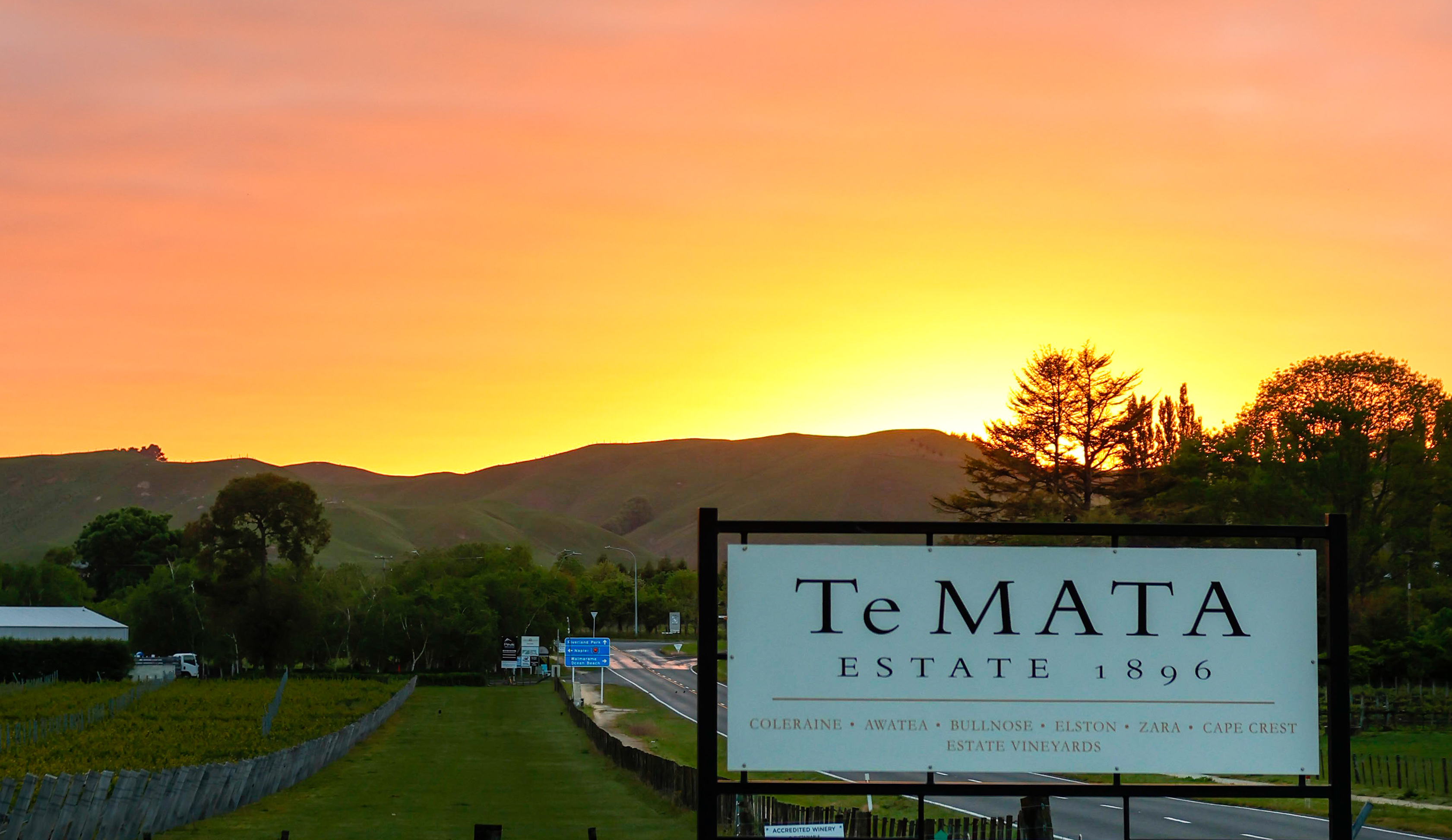 Te Mata Estate: New Zealand's Original Fine Wine Estate