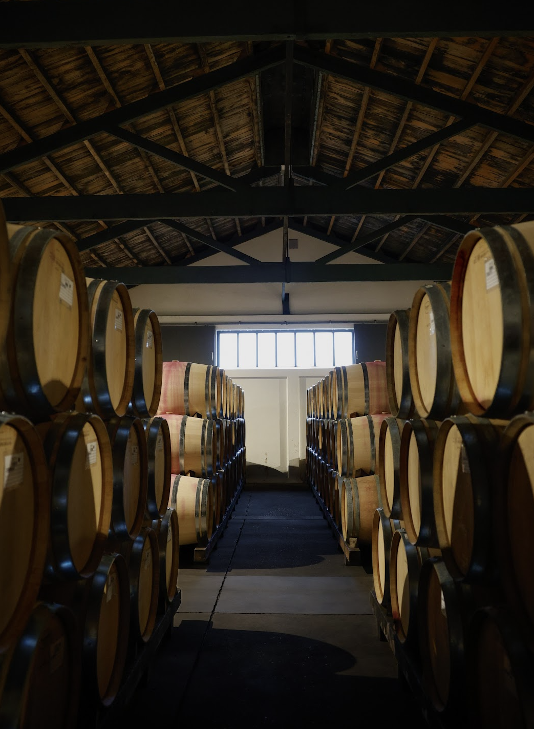 Te Mata Estate Winery Cellar Door and Wine Tasting