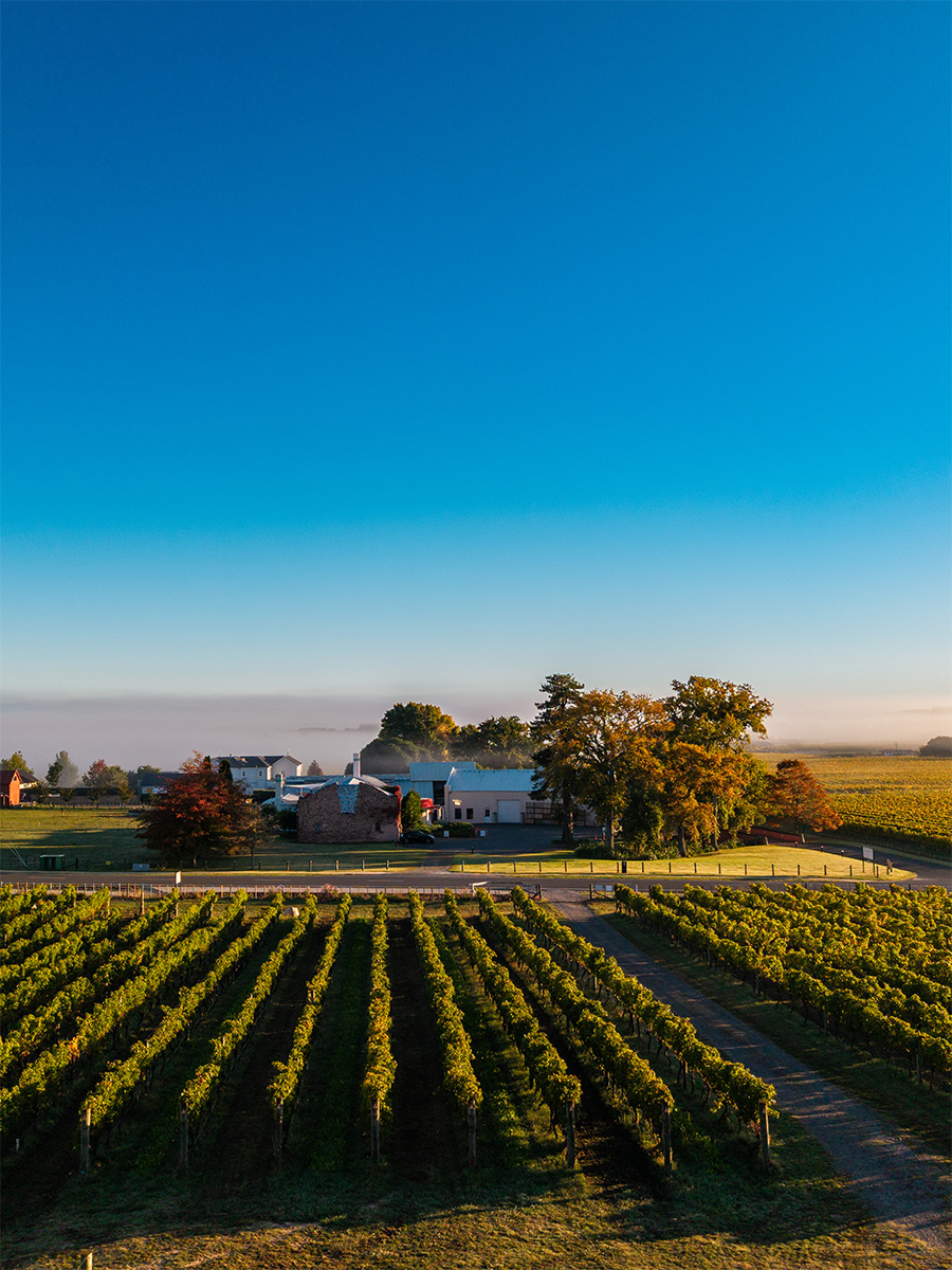 Wine Tasting Gifts | Cellar Door Experience | Te Mata Estate